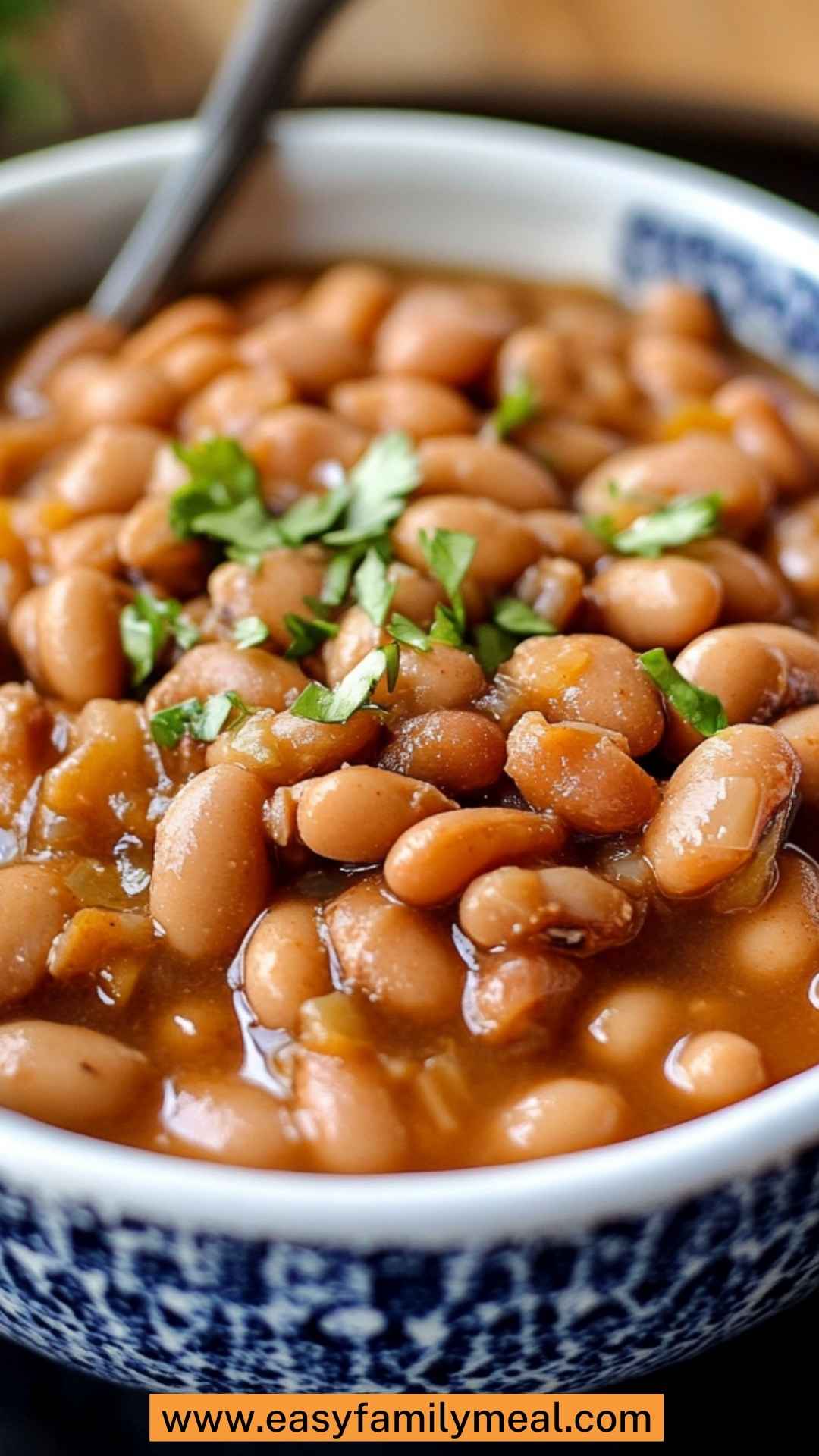 Slow Cooked Pinto Beans Recipe - Easy Family Meal
