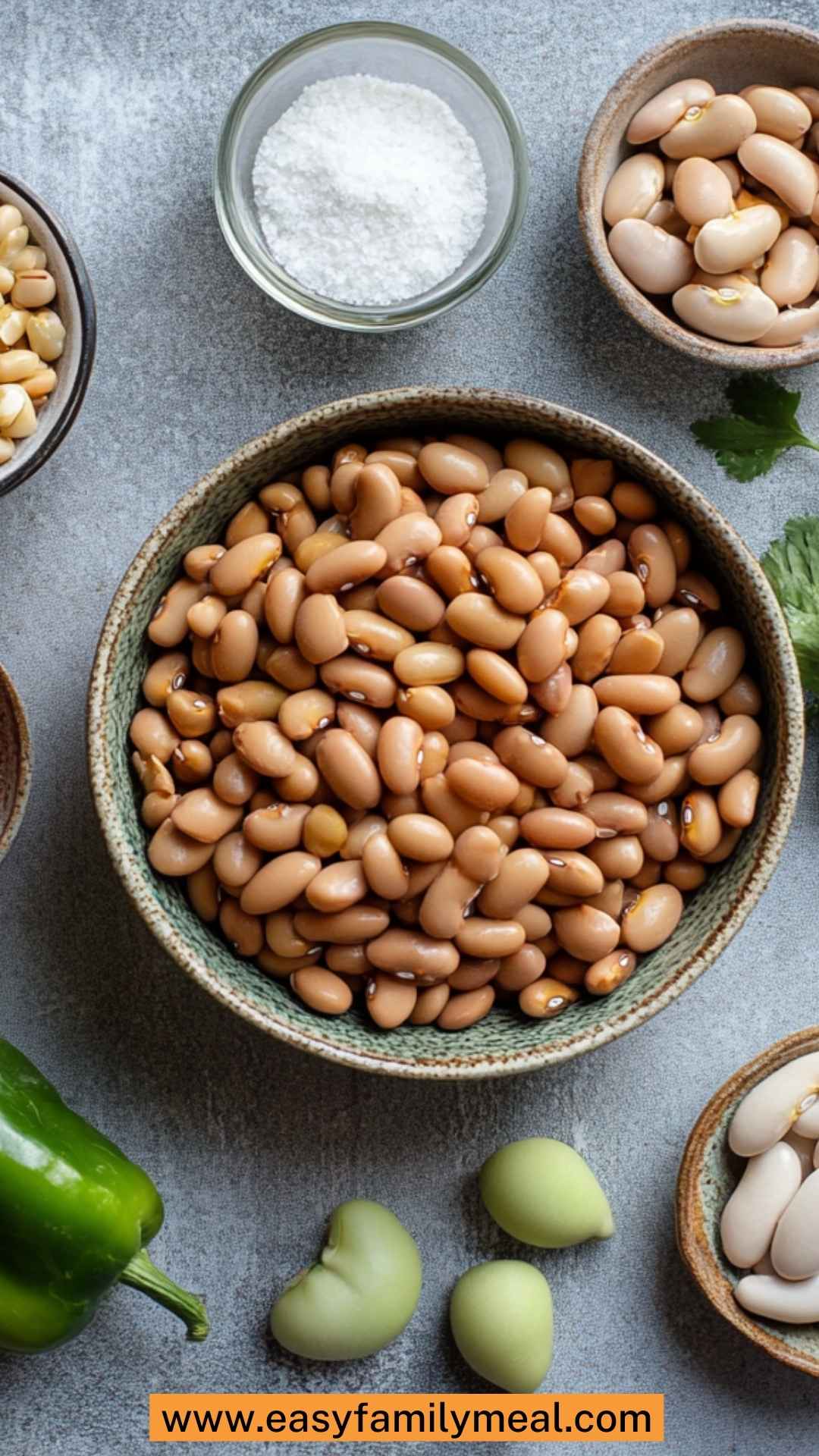 Slow Cooked Pinto Beans Recipe - Easy Family Meal