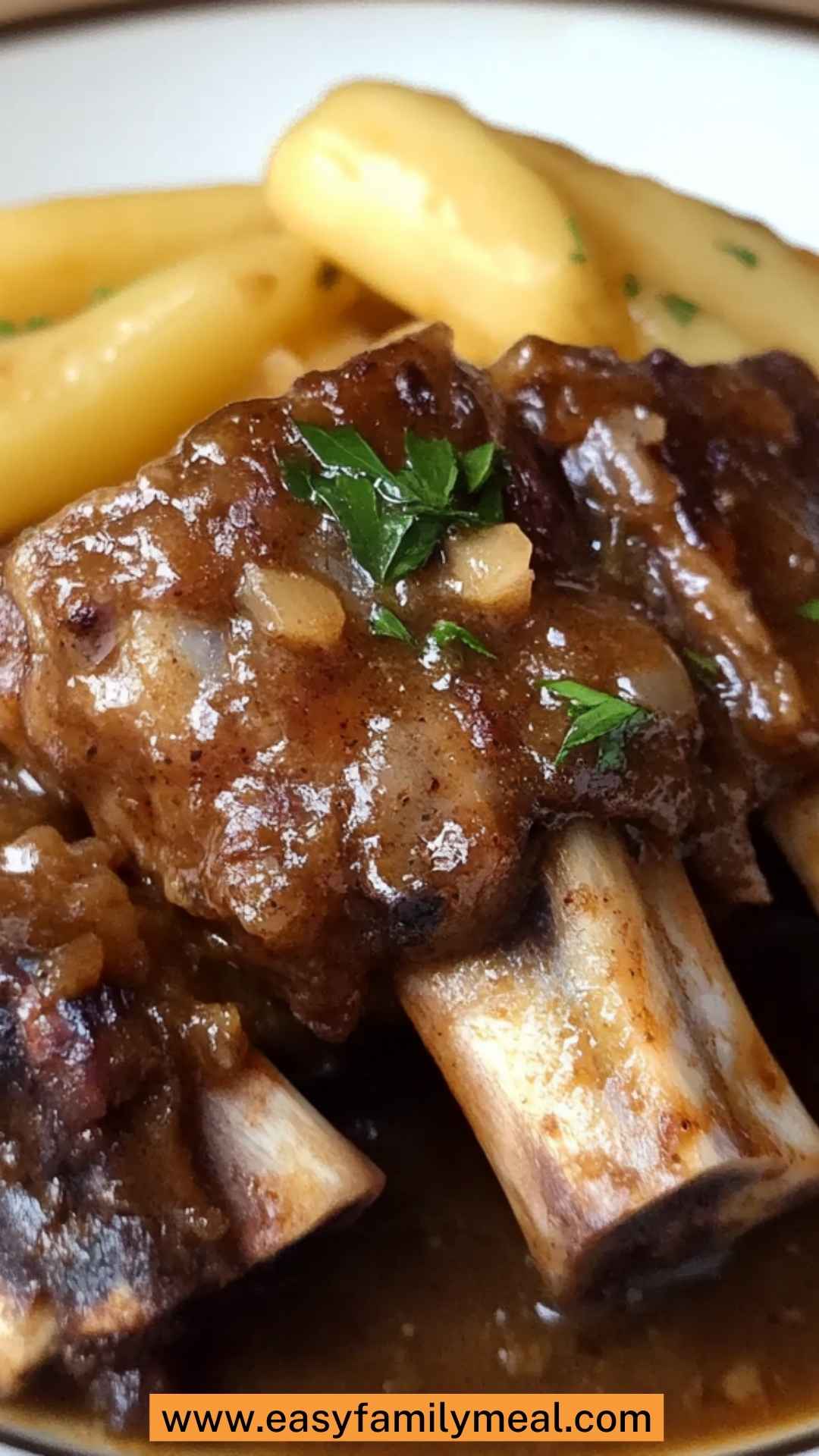 Beef Spare Ribs Slow Cooker Recipe - Easy Family Meal