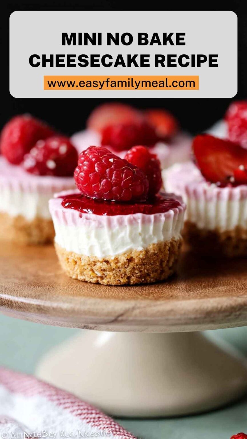 Mini No Bake Cheesecake Recipe - Easy Family Meal
